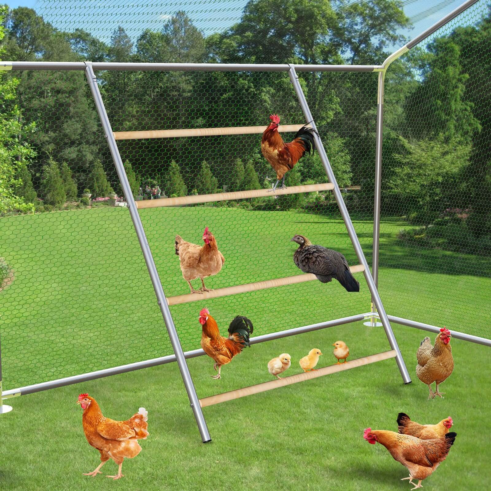 MEETWARM Chicken Perch, Chicken Coop Strong Roosting Bars For Backyard ...